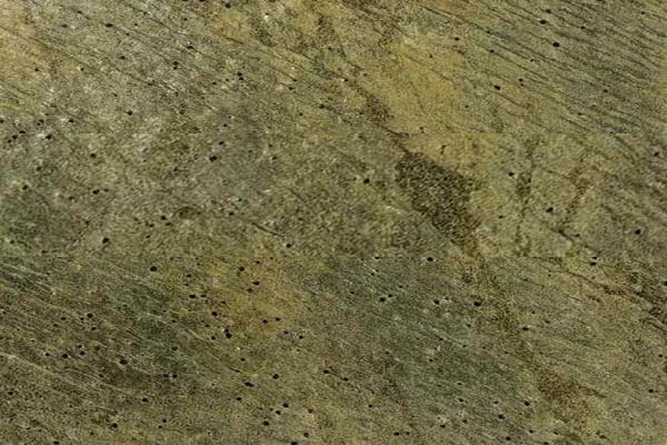 Indian Green Slate Tiles Slabs Manufacturer | Green Slate