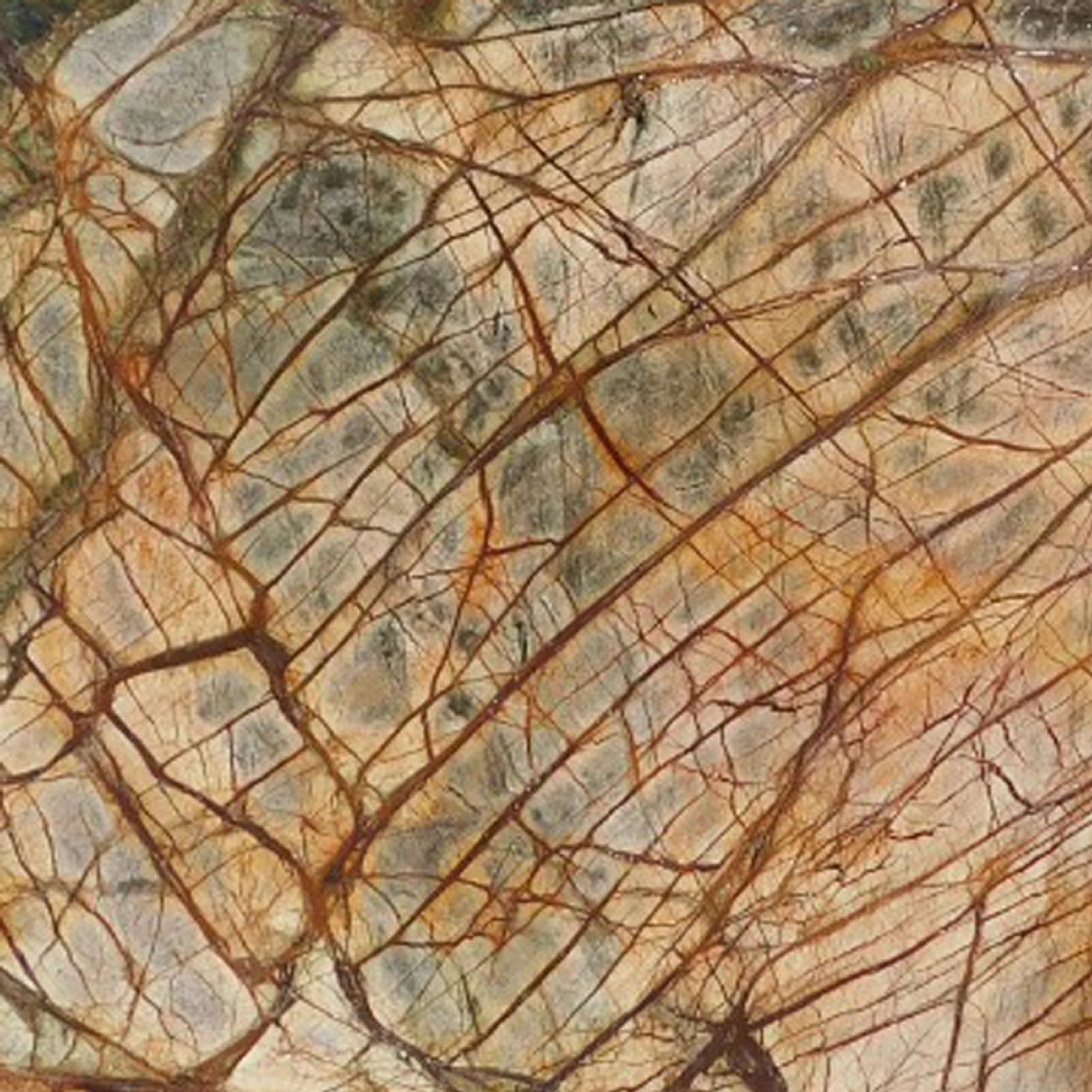 Rain Forest Brown Marble for Luxurious Interiors