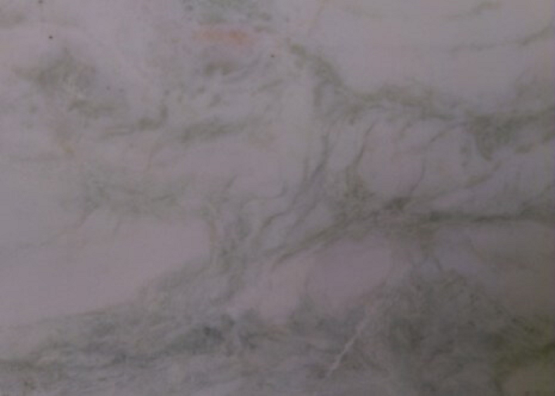 Lady Onyx Marble: Premium Quality Exported by Parash Stones